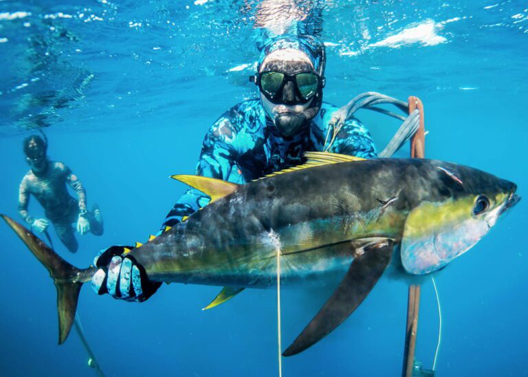 Riviera 45 Blue Water Hunting | Spearmex